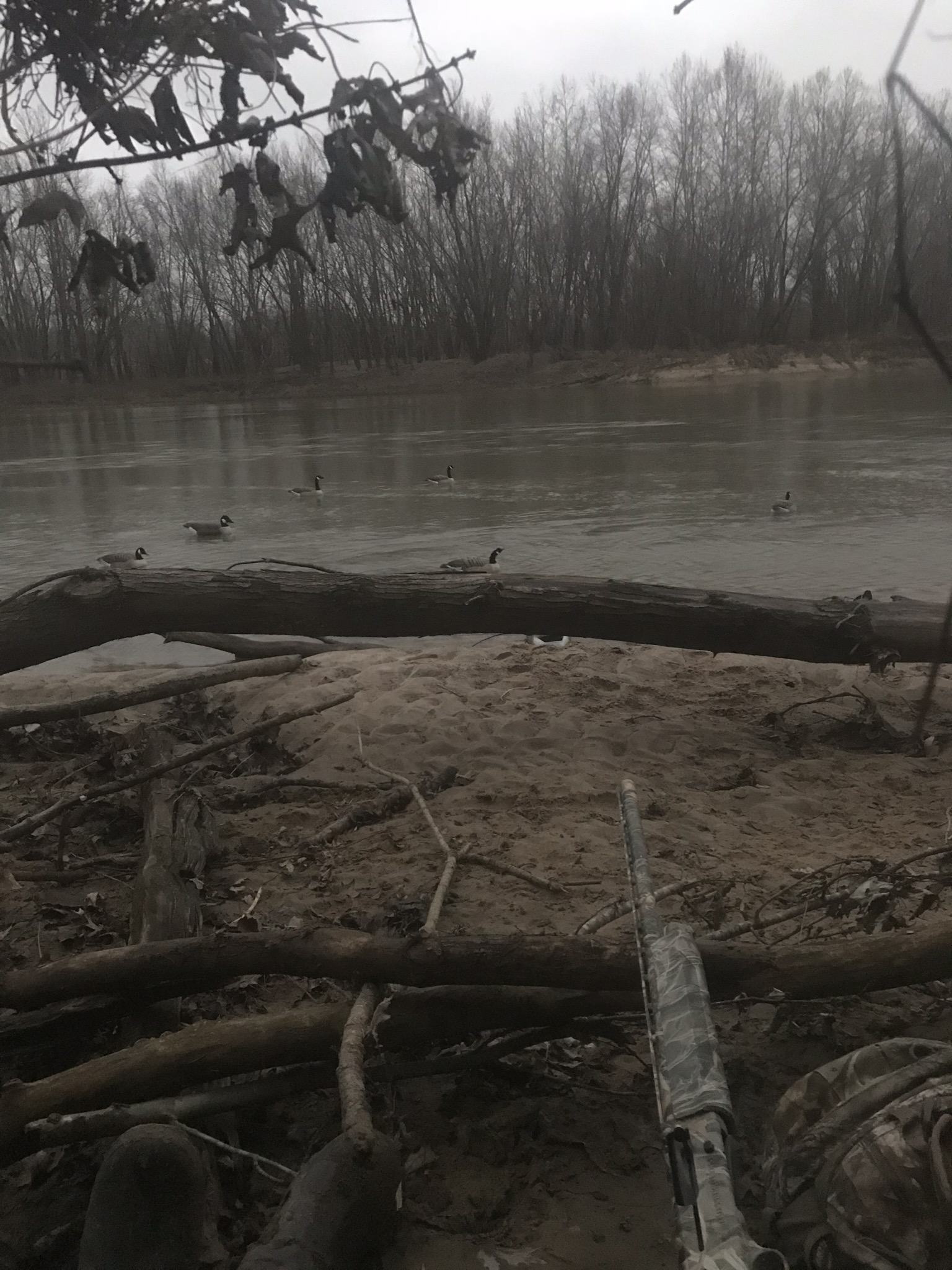 Mastering the art of Hiding from waterfowl-this is crucial. - Stream and Timber