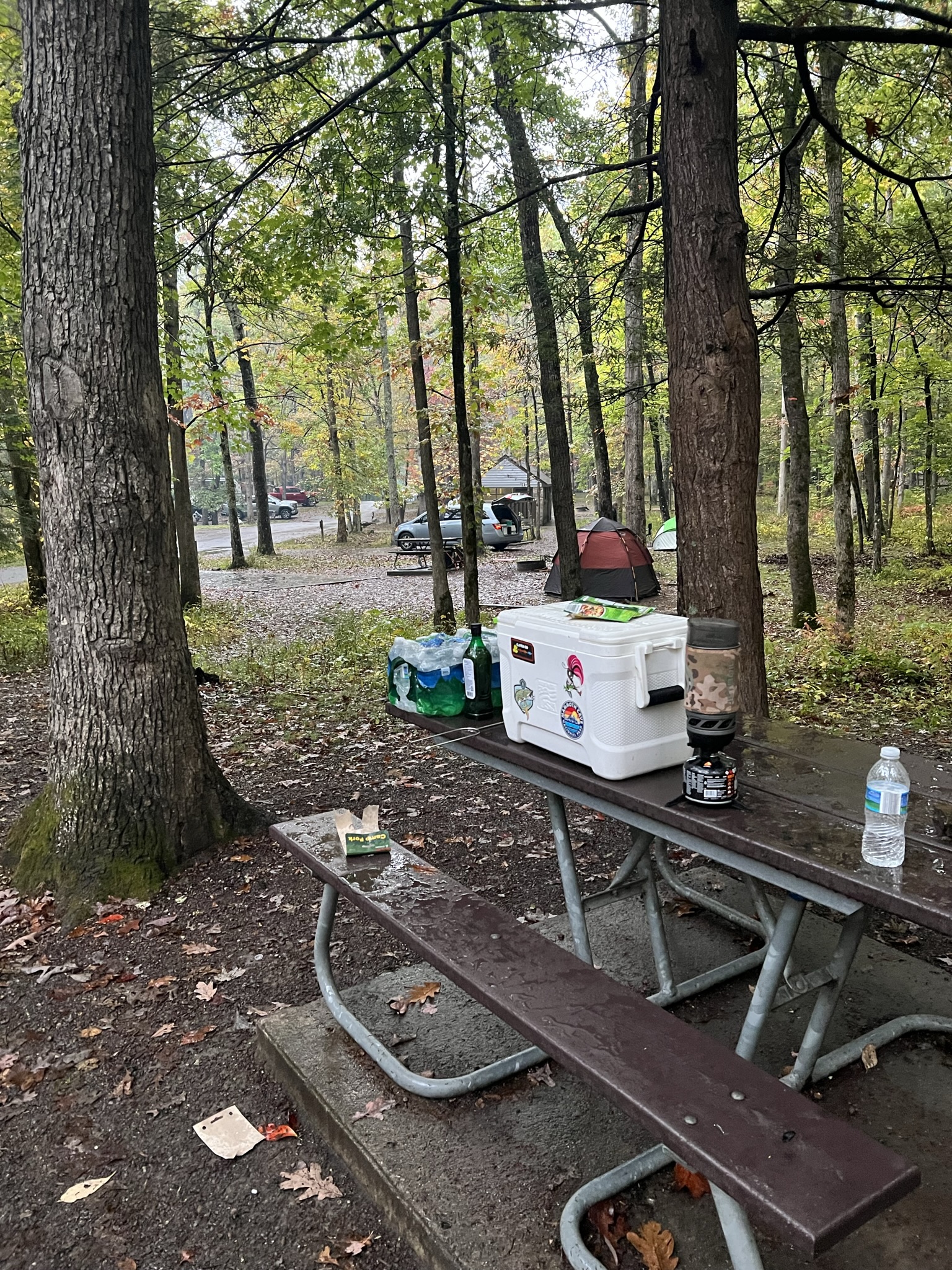 7 Amazing Benefits of Short Backpacking Trips - Stream and Timber